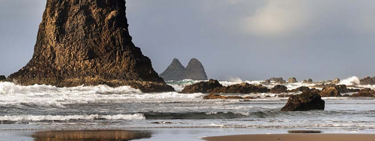 CIF Number and NIF Number in Spain: Tax Identification Numbers