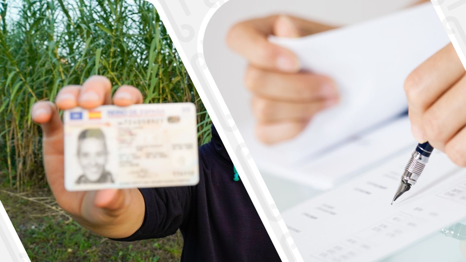 NIE Number Spain: Everything You Need to Know – SublimeSpain